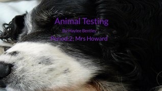 Animal Testing on emaze