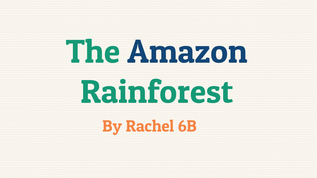 The Amazon Rainforest- By Rachel on emaze