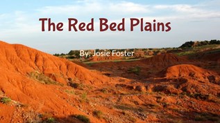 The Red Bed at emaze Presentation