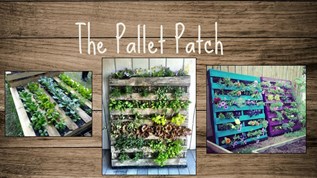 The Pallet Patch at emaze Presentation