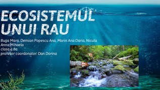 ECOSISTEMUL UNUI RAU at emaze Presentation