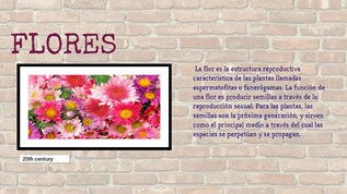 La flor de andrea at emaze Presentation