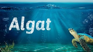 Algat at emaze Presentation