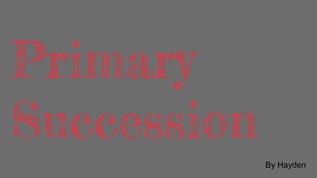 Primary Succession at emaze Presentation