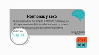 Cap.13 Pinel at emaze Presentation