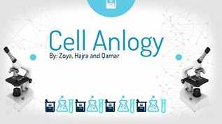 Cell Anlogy at emaze Presentation