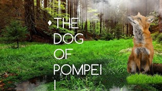 Untitled at emaze Presentation