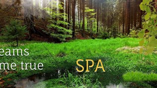 SPA at emaze Presentation