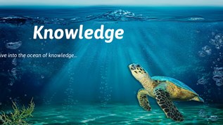 Dive into the ocean of knowledge and wisdom at emaze Presentation