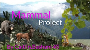 Mammal Project at emaze Presentation