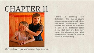 Chapter 11 Summary at emaze Presentation