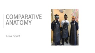 Comparative anatomy at emaze Presentation