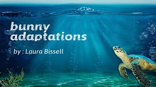 bunny adaptations at emaze Presentation