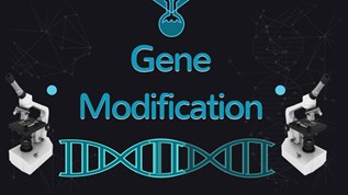 Gene Modification at emaze Presentation