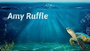 Amy Ruffle at emaze Presentation