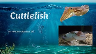 Cuttlefish at emaze Presentation