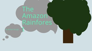 The Amazon Rainforest at emaze Presentation