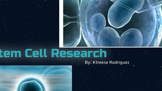 Stem Cell at emaze Presentation