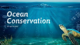 Ocean Conservation at emaze Presentation