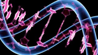 Unit 3 genetics at emaze Presentation