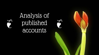 Analysis of published accounts at emaze Presentation
