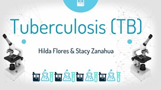Tuberculosis (TB) at emaze Presentation