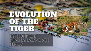 EVOLUTION of the Tiger at emaze Presentation