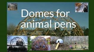 Domes for animal at emaze Presentation