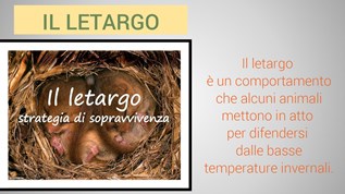 LETARGO at emaze Presentation