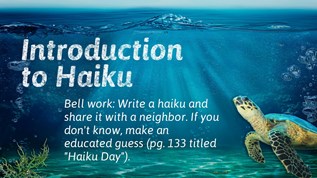 Haiku Day Q4S18 at emaze Presentation