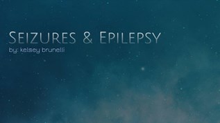 Untitled at emaze Presentation