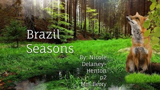 Brazil Seasons at emaze Presentation