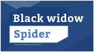 Black Widow spider at emaze Presentation