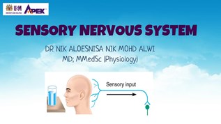 Sensory Nervous System at emaze Presentation