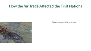 How the fur Trade affected the first nations at emaze Presentation