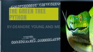 THE GREEN TREE python at emaze Presentation
