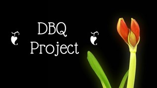 DBQ project at emaze Presentation