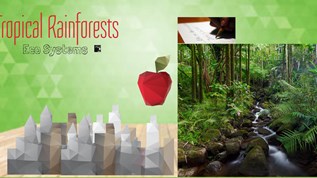 Tropical Rainforests at emaze Presentation