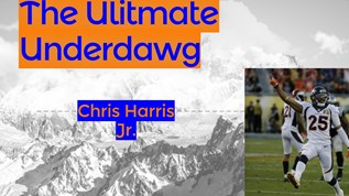 The Ultimate Underdawg at emaze Presentation