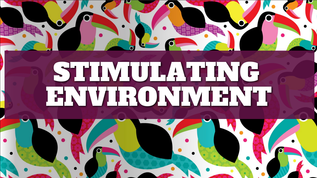 stimulating environment at emaze Presentation