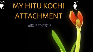 MY HITU KOCHI copy1 at emaze Presentation