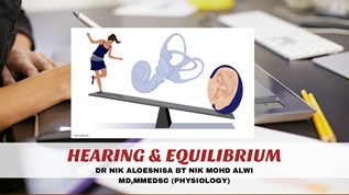 Hearing & Equilibrium at emaze Presentation