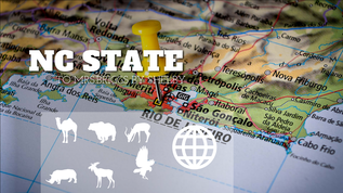 NC symbols at emaze Presentation