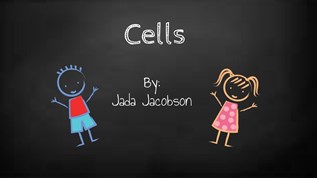 Cells at emaze Presentation