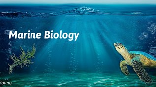 Marine Biology at emaze Presentation