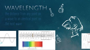WAVES at emaze Presentation