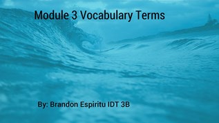 Module 3 Vocabulary at emaze Presentation