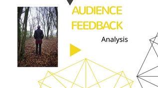 Audience Feedback Analysis at emaze Presentation