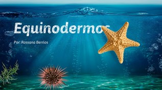 Echinoderms at emaze Presentation