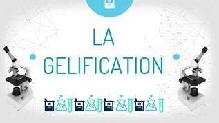 LA GELIFICATION at emaze Presentation